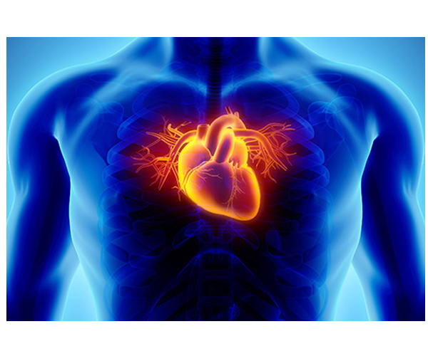 EECP | EECP Non Invasive Heart Care Treatment
